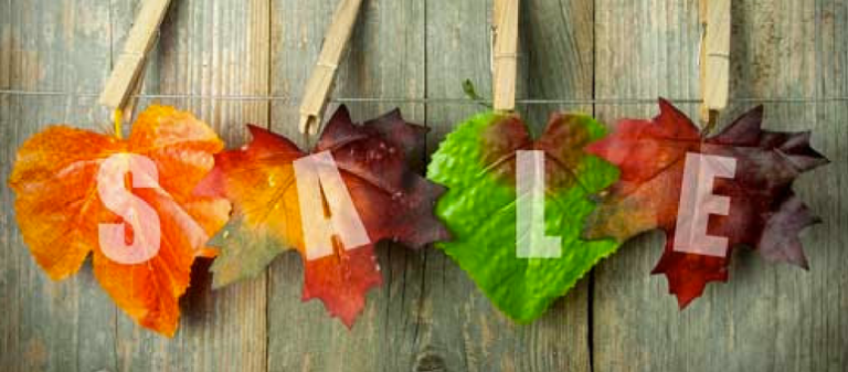 7 Fall Marketing Ideas To Boost Your Sales! | Caspian Services, Inc.